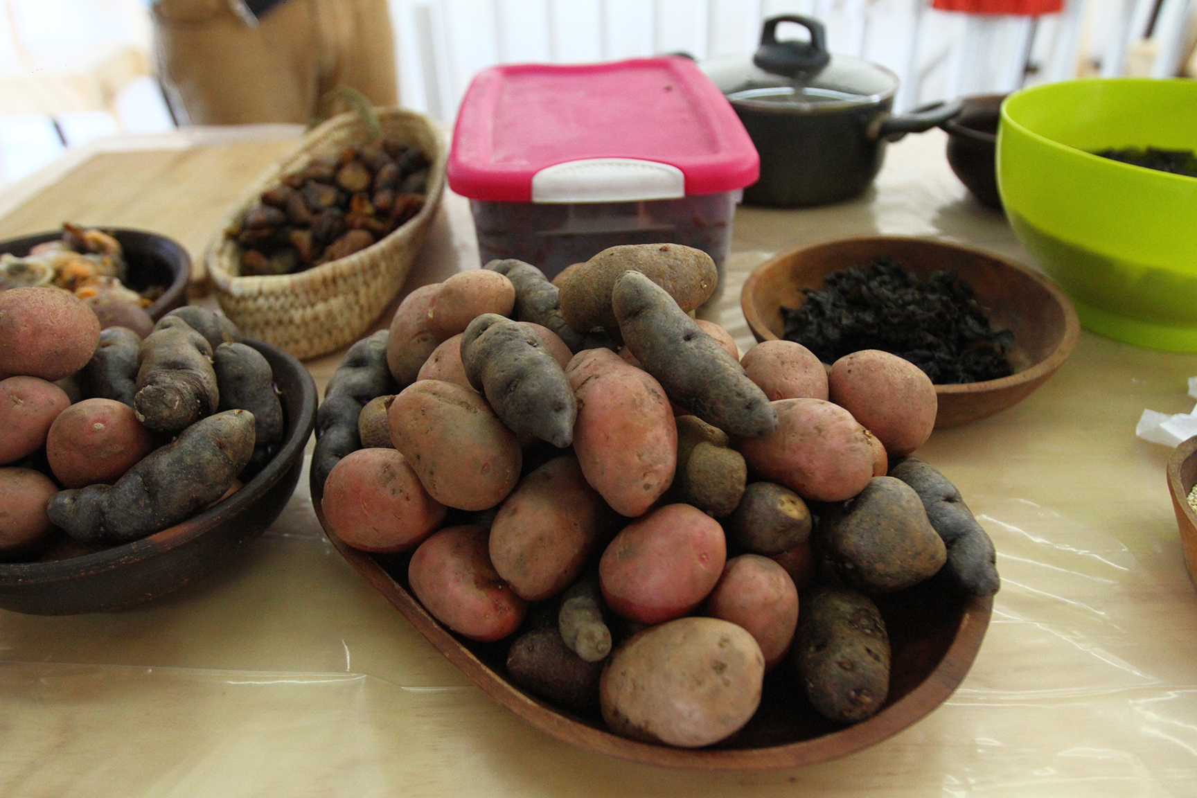 TALLER DE COCINA MAPUCHE – Independencia Ciudadana